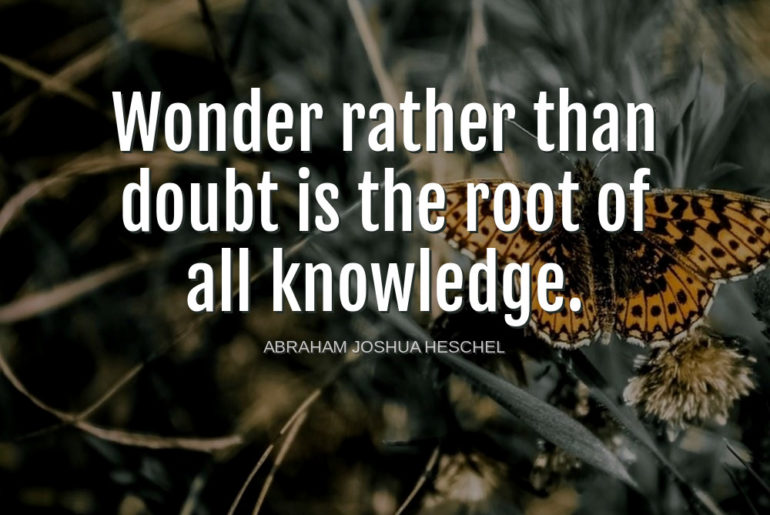 Abraham Joshua Heschel | Wonder rather than doubt - Inspiring Alley